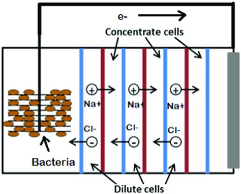 Stack Structure Microbial Desalination Cell 34 Download Scientific