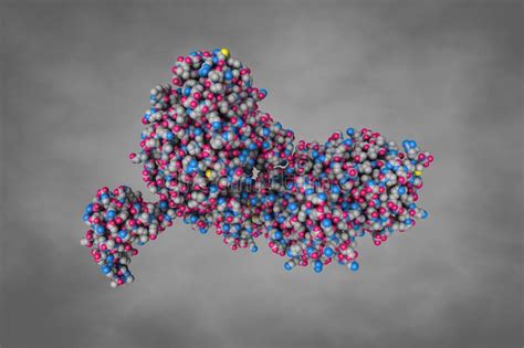 Penicillin Binding Protein 2x Pbp 2x Acyl Enzyme Complex Space