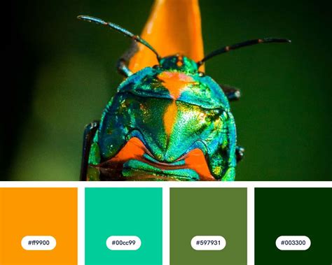 Green Tone Color Schemes Color Combinations Color