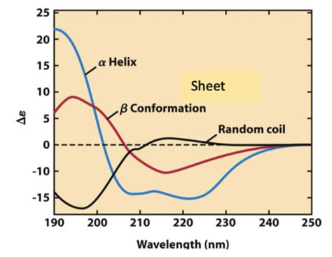 Exam 2 Biochem Practice Problems Flashcards Quizlet