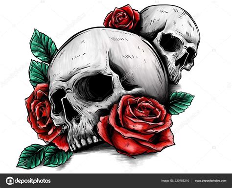 How To Draw A Realistic Skull With Roses