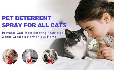 Cat Deterrent Spray丨cat Repellent Spray For Indoor