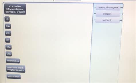 Solved Part C The Complement System Launch The Concept