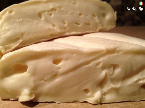 Robiola Italys Most Loved Soft Cheese Cheese Atlas