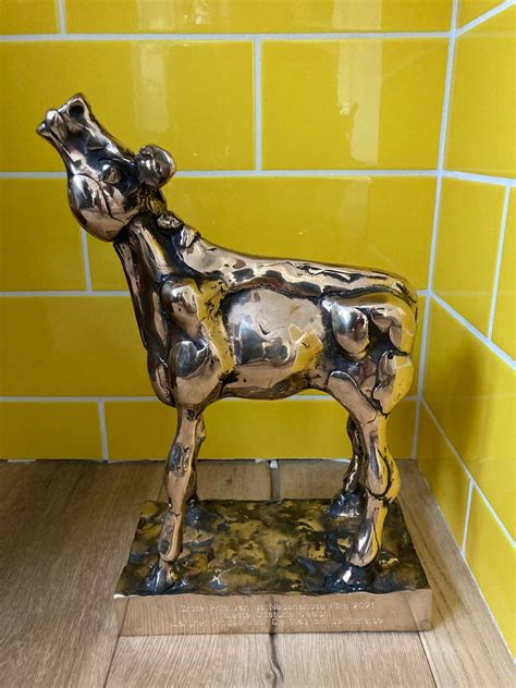 Hij Is Er Margriet Procee 55 Comments