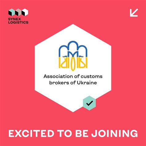 Alina Prydatko Posted On Linkedin