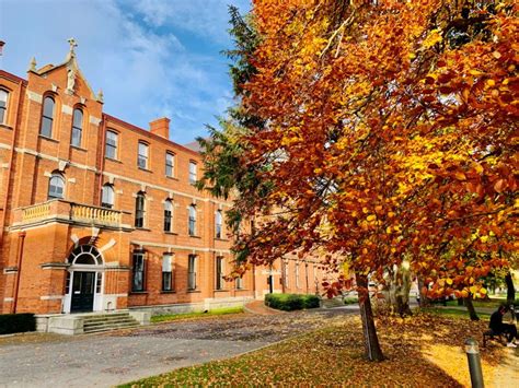 Anna Sofia Salin On Linkedin I Am Happy To Share That I Have Recently Completed My Bachelors