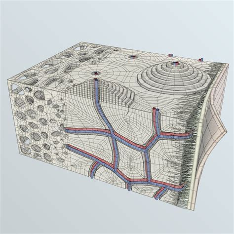 Realistic Human Bone Cross Section 3d Model 79 Fbx Max Ma Obj Unknown Free3d