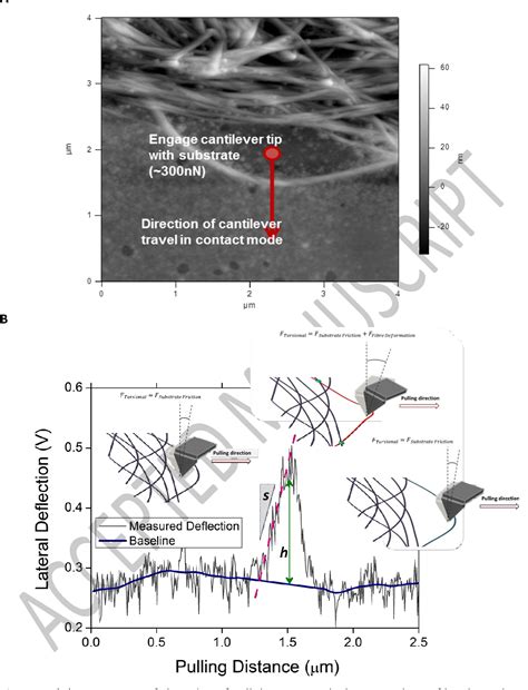Figure 1 From Probing Adhesion Between Nanoscale Cellulose Fibres Using
