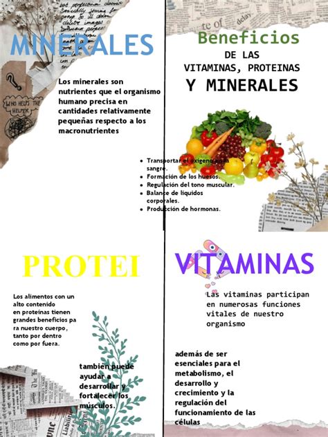 Beneficios De Los Minerales Proteinas Y Vitaminas Pdf