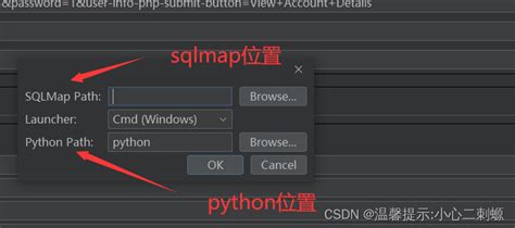 Burp Suite Co2 使用方法完整渗透过程burpsuite Co2 Csdn博客 Burp Suite Co2 使用方法完整渗透过程burpsuite Co2 Csdn博客