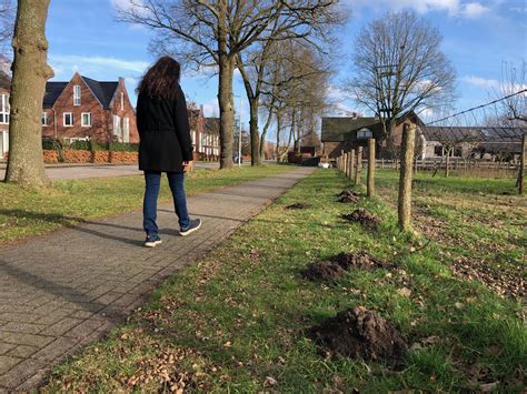 Hierom Zie Je Zo Veel Molshopen In Apeldoorn Oozo Nl