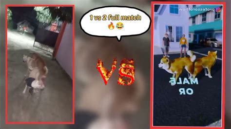 Male Dog Vs Female Dog 🐕 Sex Viral Video Coming Soon 🔜