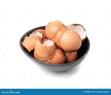 Broken Egg Shell Crushed Eggshell Calcium Supplement Cracked