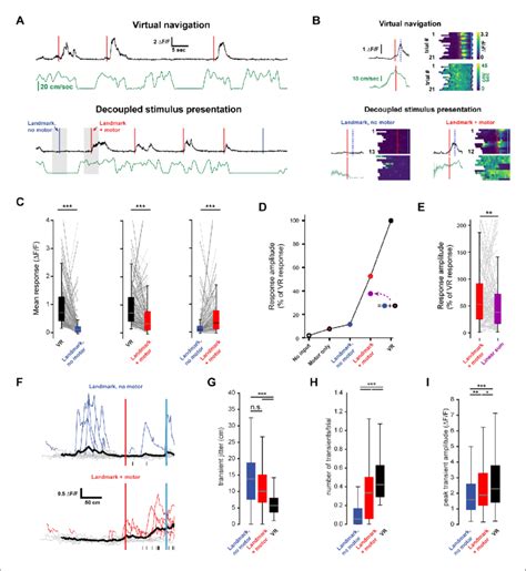 Non Linear Integration Of Visual And Motor Inputs In Rsc Landmark