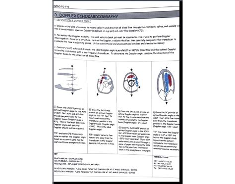 Doppler Echo — Printable Worksheet