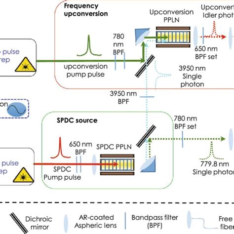 A Cross Sectional View Of The Spdc And Upconversion Ppln Waveguide Download Scientific