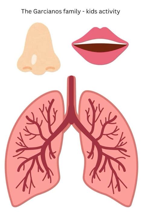 Pin Di Jood Su مرات الحفظ السريع Lavoretti Scientifici Scienza Per