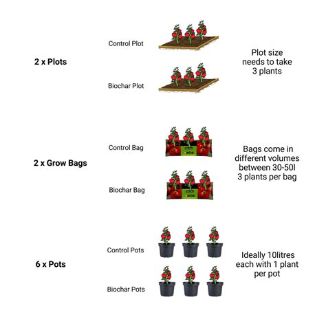 The Big Biochar Experiment Biochar