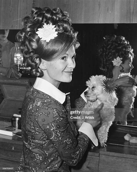 Actress Anna Palk Holding Her Poodle Pompey Getting Her Hair Styled News Photo Getty Images