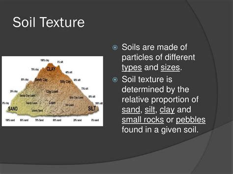 What Are The 4 Of Soil Texture At Darcy Poninski Blog