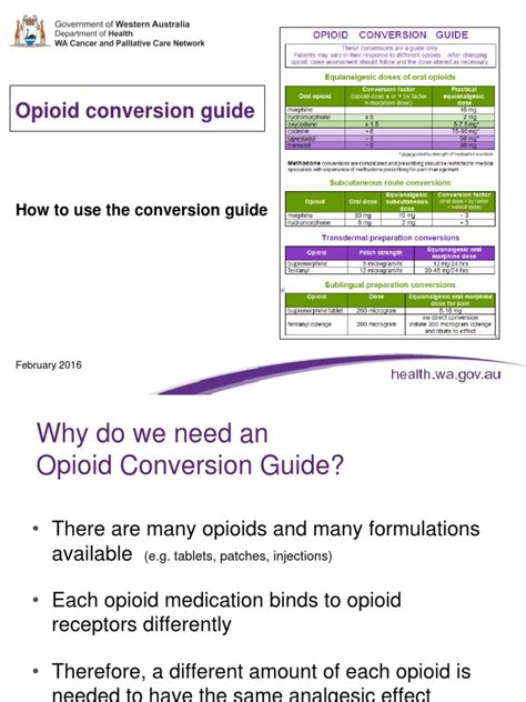 How To Use The Opioid Conversion Guide Pdf Opioid Oxycodone