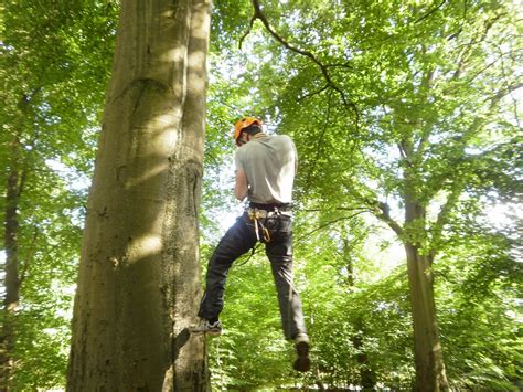 At The Bealach Tree Climbing 07 08 2010