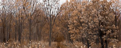 Footpath Collection Prints