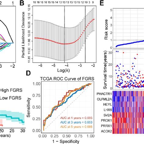Clinical Features In The Tcga Skcm Cohort Download Scientific Diagram