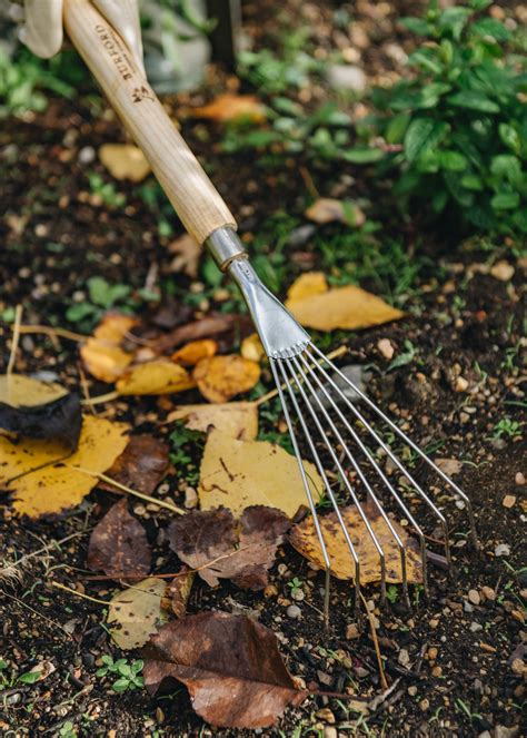 Prepear Juice 120ml Drink Before Alcohol Burford Garden Co