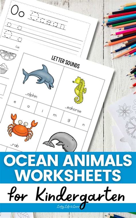 Sea Life Worksheets