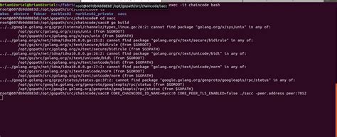 Docker Container Hyperledger Fabric Tools Cli Doesn T Run For Go Chaincode Example Hyperledger