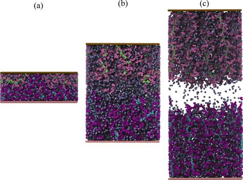 Snapshots Of The System With Grafting Density ρ G 3 09 × 10 −2 σ −2 Download Scientific