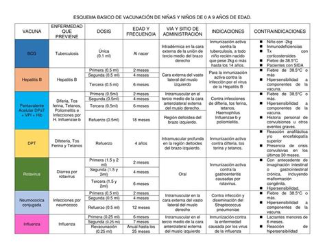 Esquema De Vacunación Completo Enfermería Udocz