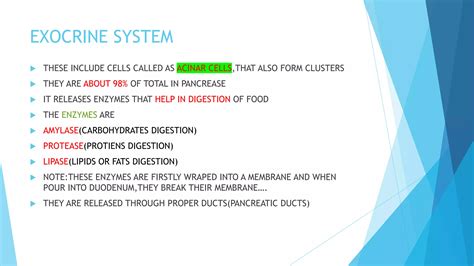 Physiologyliver And Pancreas Pptx