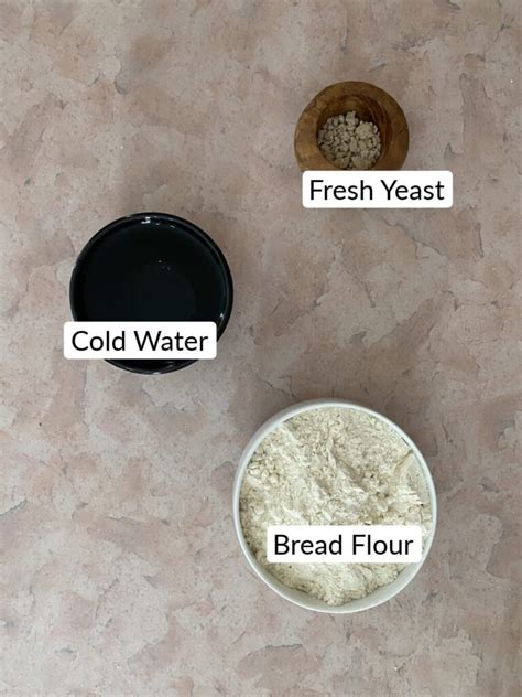 Easy Italian Biga Starter Recipe Perfect For Bread And Pizza