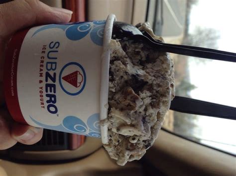 Sub Zero Ice Cream In Alpine Restaurant Menu And Reviews