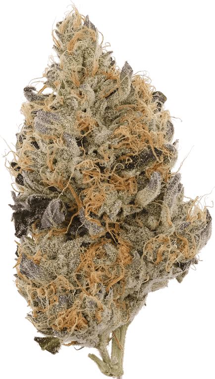 Triangle Mints Zen Leaf Dispensaries