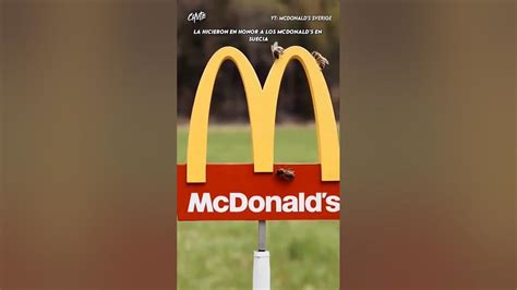 📌 Mchive El Mcdonalds Para Abejas Shorts Mcdonalds Abejas Datoscuriosos Chutedkv Youtube
