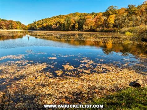 Exploring Pine Grove Furnace State Park In Cumberland County Pa Bucket List