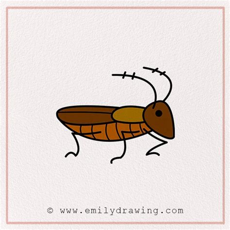 How To Draw A Cockroach Emily Drawing