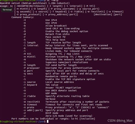 buuctf pwn 第1题 test your nc buuctf pwn第一题 csdn博客