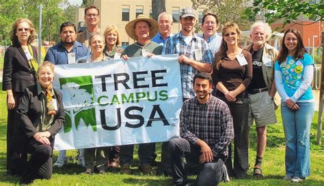 75th Anniversary Lavc