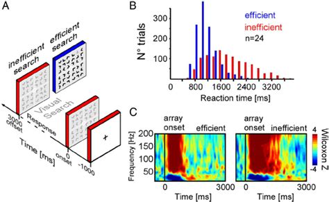 experimental conditions behavior and time frequency responses a