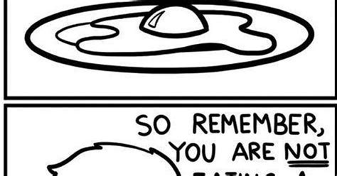 A Common Misconception Imgur