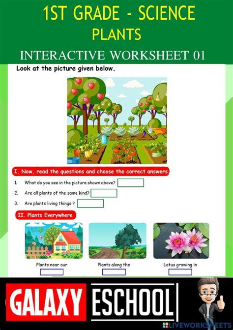 1st Science Ps01 Plants Galaxy Worksheet Live Worksheets