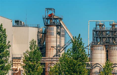 Wood Processing Plant Exterior Timber Industry Building With Tree