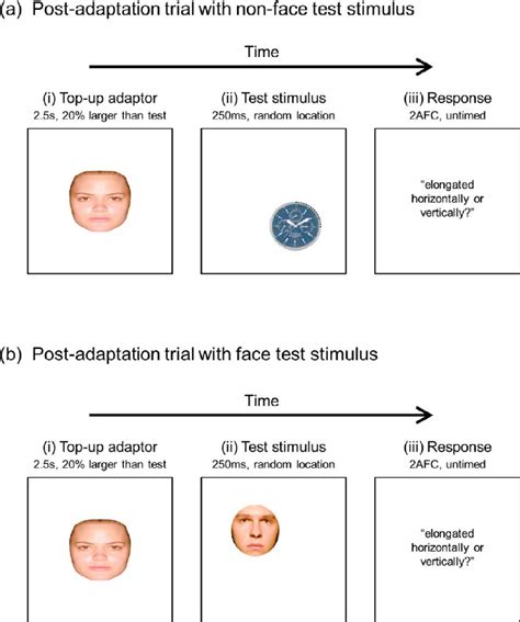 Procedure Of The Adaptation Task Experiments 1 And 4 Showing Trials