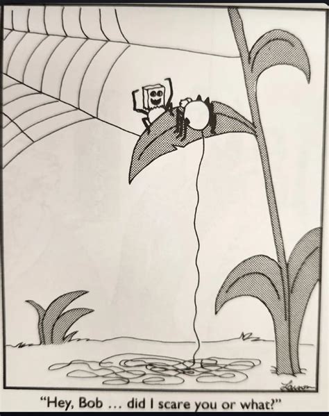 Alexa Play Spiderbait 9gag