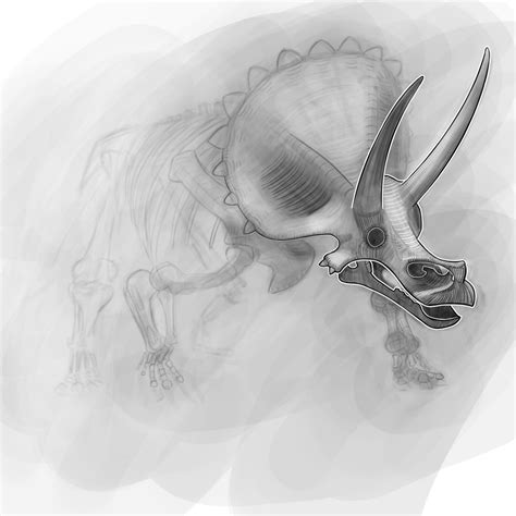 First Attempts To Draw Bones Rlearntodraw